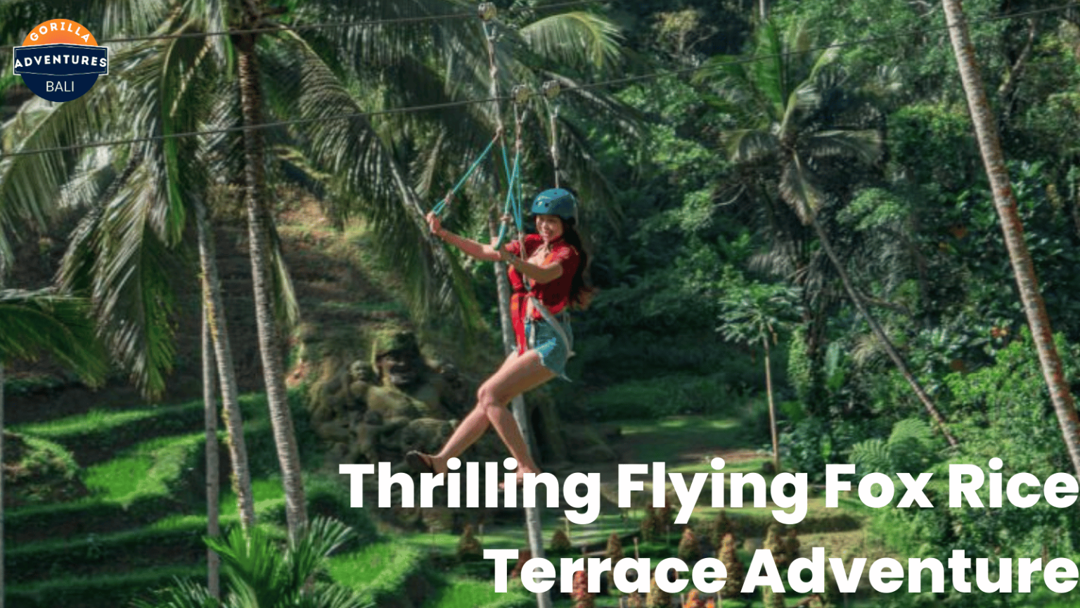 Thrilling Flying Fox Rice Terrace Adventure - 𝐆𝐨𝐫𝐢𝐥𝐥𝐚 𝐀𝐝𝐯𝐞𝐧𝐭𝐮𝐫𝐞𝐬 𝐁𝐚𝐥𝐢