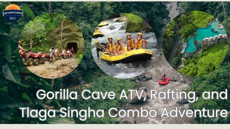 Gorilla Adventures Bali - 𝐆𝐨𝐫𝐢𝐥𝐥𝐚 𝐀𝐝𝐯𝐞𝐧𝐭𝐮𝐫𝐞𝐬 𝐁𝐚𝐥𝐢