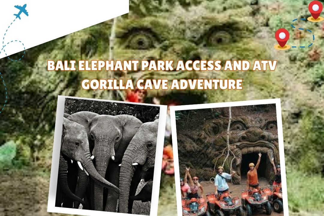 Bali Elephant Park Access and ATV Gorilla Cave Adventure - 𝐆𝐨𝐫𝐢𝐥𝐥𝐚 𝐀𝐝𝐯𝐞𝐧𝐭𝐮𝐫𝐞𝐬 𝐁𝐚𝐥𝐢