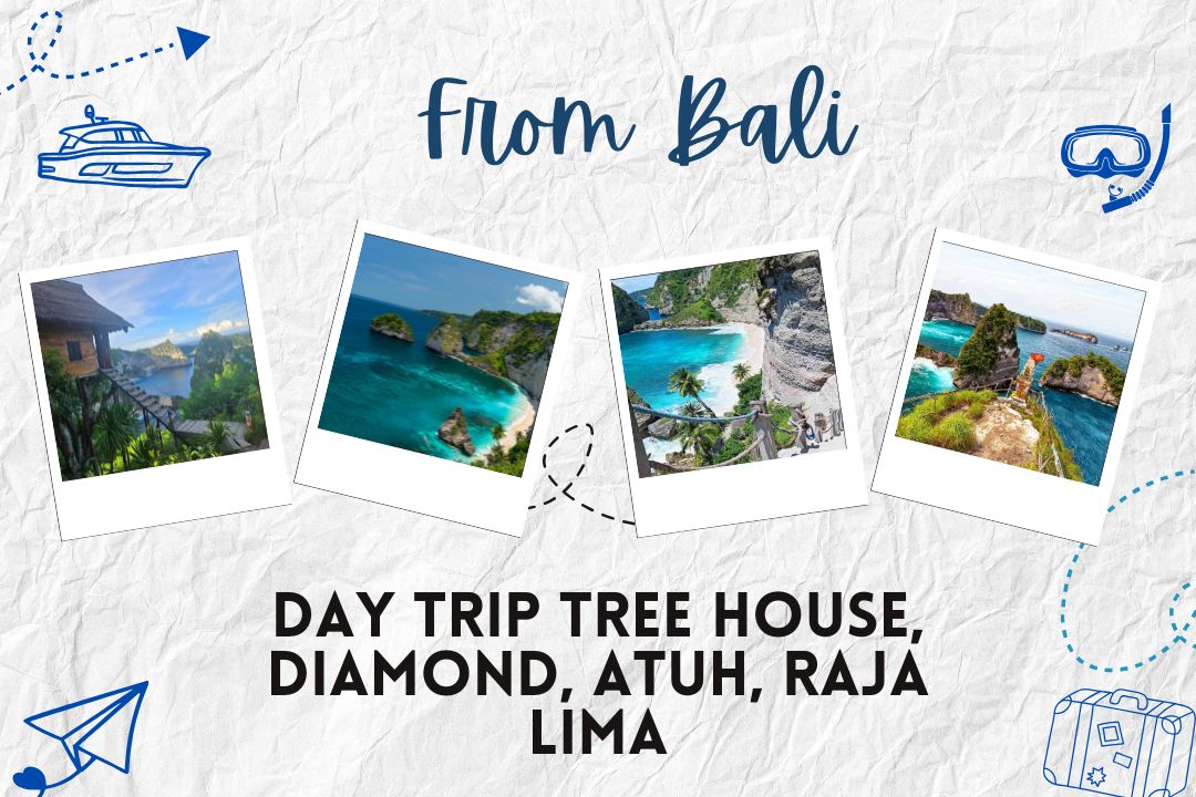 From Bali : Day Trip Tree House, Diamond Beach, Atuh, Raja Lima ...